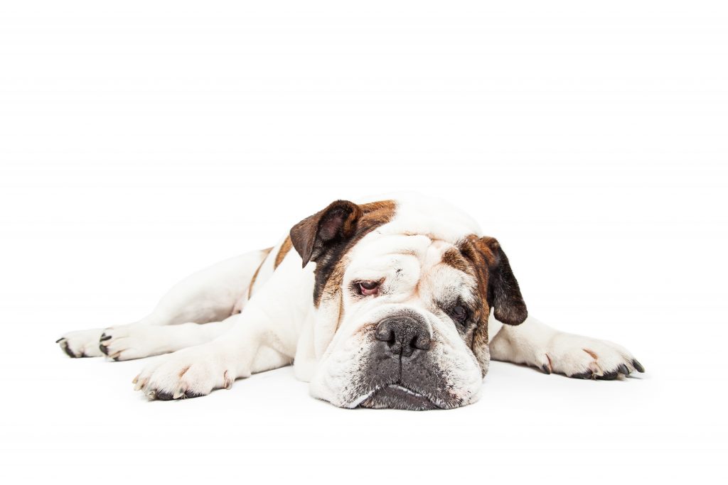 Recovery after football match: Do we really understand what we are doing?
