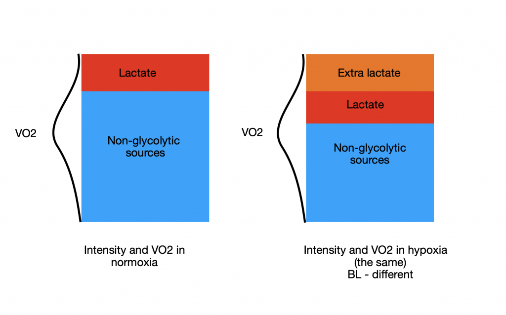 Blood lactate testing in training: Is it worth to bleed?